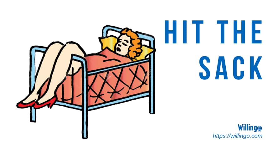 HIT THE SACK | WILLINGO